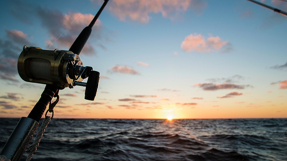 Hameçon pour la peche : tout ce que vous devez savoir